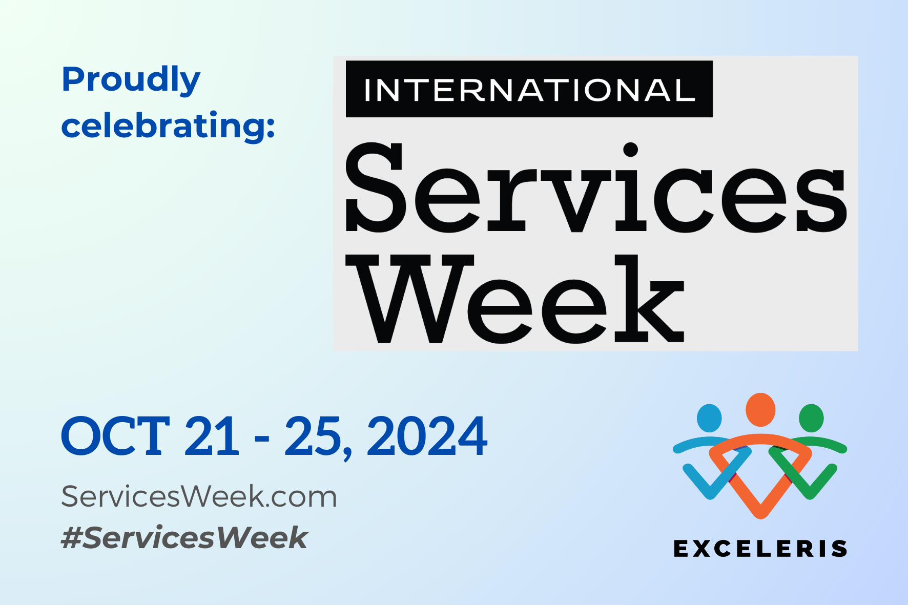 Exceleris Consulting Salesforce Consulting Services